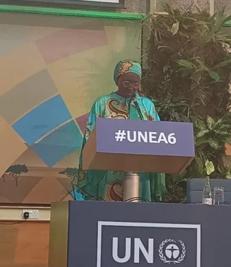 Mme Lalya Aly Kamara participe au Haut segment de la UNEA-6